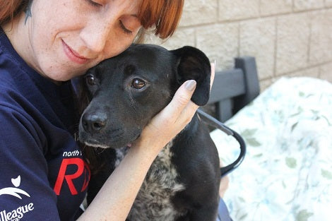They Brought Their Labrador To The Vet. What The X-Rays Revealed? OMG ...