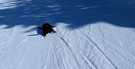 How This Pup Sleds Down The Ski Slope Is Adorably Hilarious! – A Dog's Love