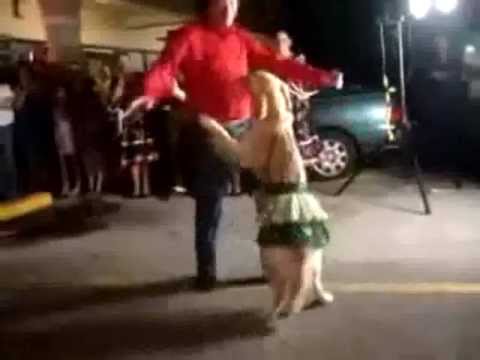 Ever Seen A Golden Retriever Salsa Dancing? This Golden Retriever Will ...